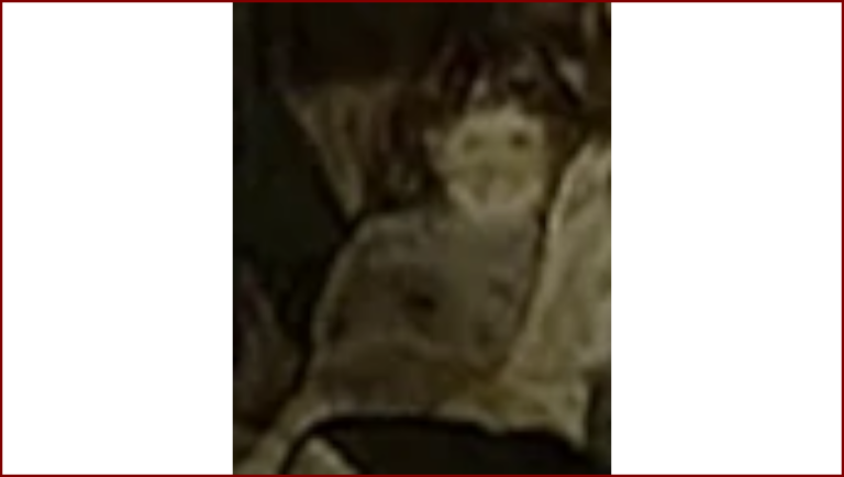 Lore - Lisa Trevor - les-archives-resident-evil-biohazard.fr