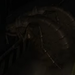 Lore - Mega Bite - les-archives-resident-evil-biohazard.fr